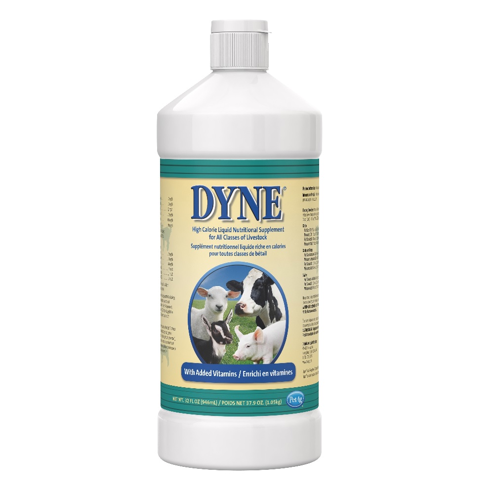 Dyne® High Calorie Liquid for Livestock, 32 oz. Bottle - 20513 | Rural King