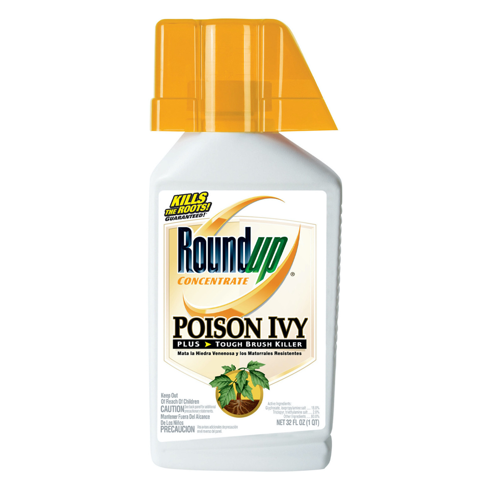 Roundup Concentrate Poison Ivy Plus Tough Brush Killer, 32 oz ...