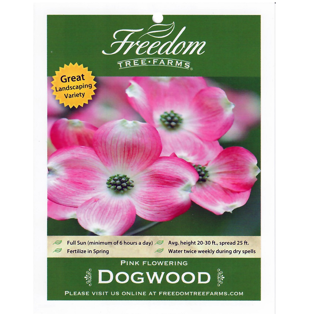 Freedom Tree Farms Pink Kousa Dogwood, 5 Gallon | Rural King