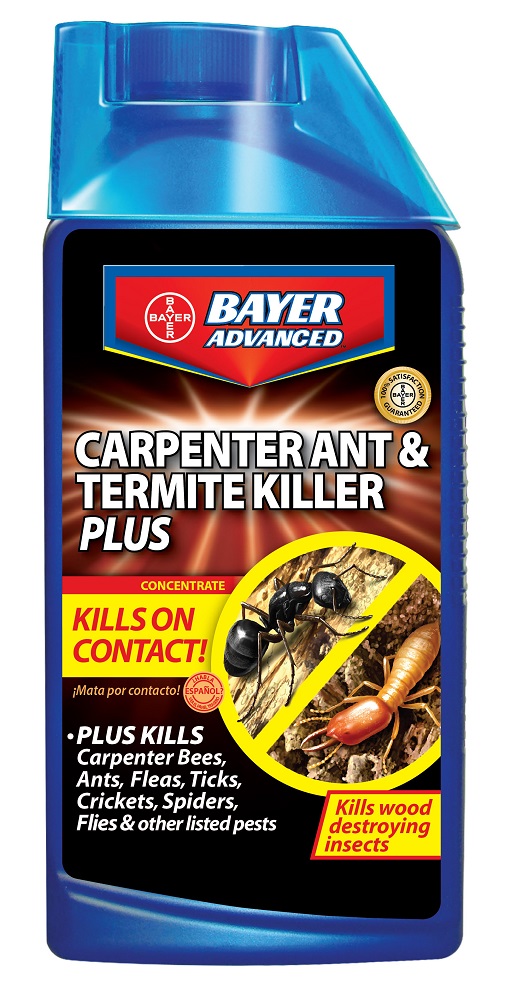 termite killer lowes