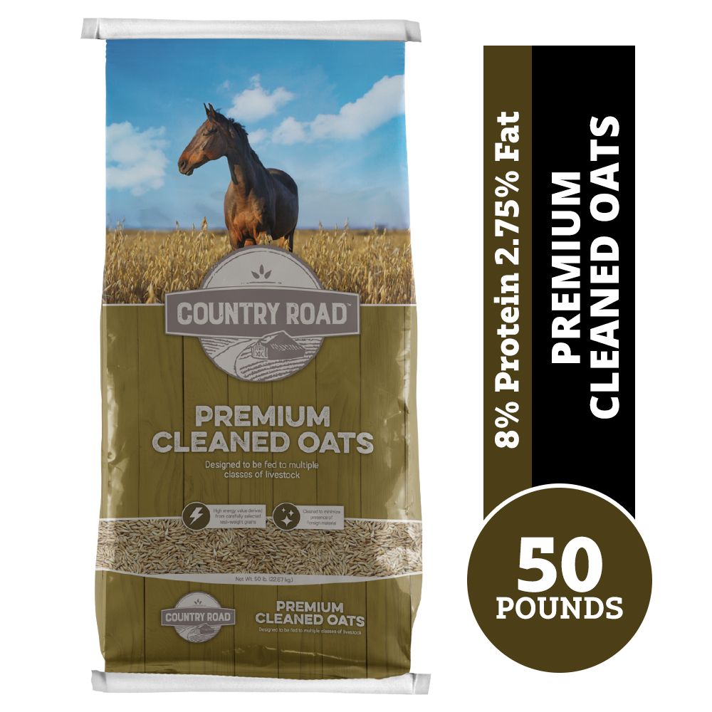 Country Road Premium Cleaned Oats Feed, 50 lb. Bag | Rural King