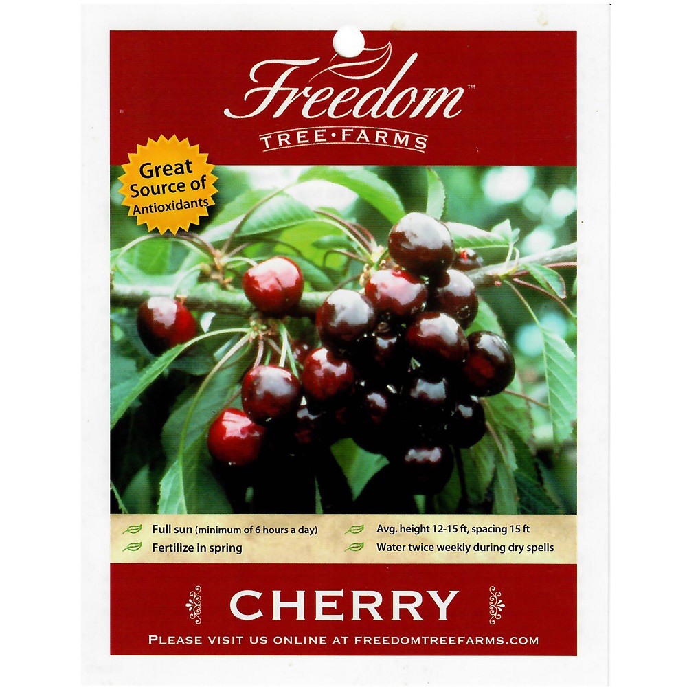 Freedom Tree Farms Sam Cherry, 5 Gallon | Rural King