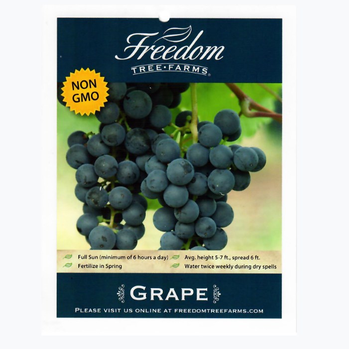 Freedom Tree Farms Mars Seedless Grape, 2 Gallon | Rural King