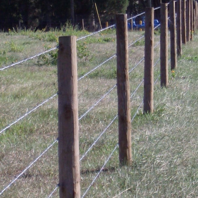 2½\" x 6½' FP25 Wood Fence Post - FP25W40 | Rural King