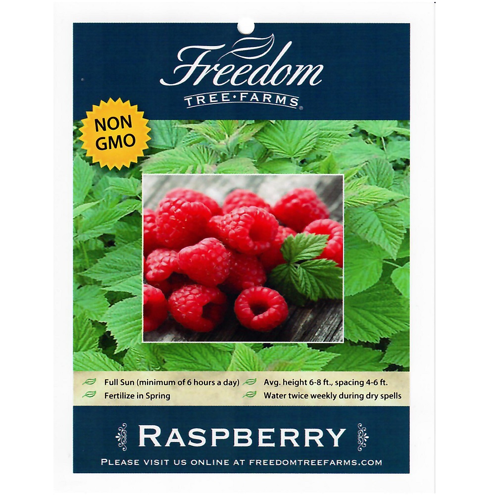 Freedom Tree Farms Heritage Raspberry, 1 Gallon | Rural King