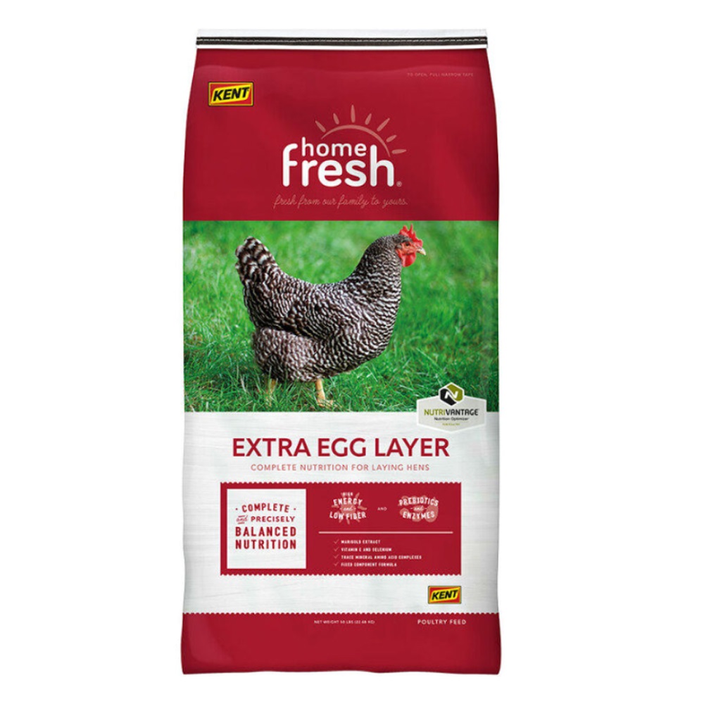 Kent Extra Egg Layer Crumble Poultry Feed, 50 lb. Bag - 3483 | Rural King