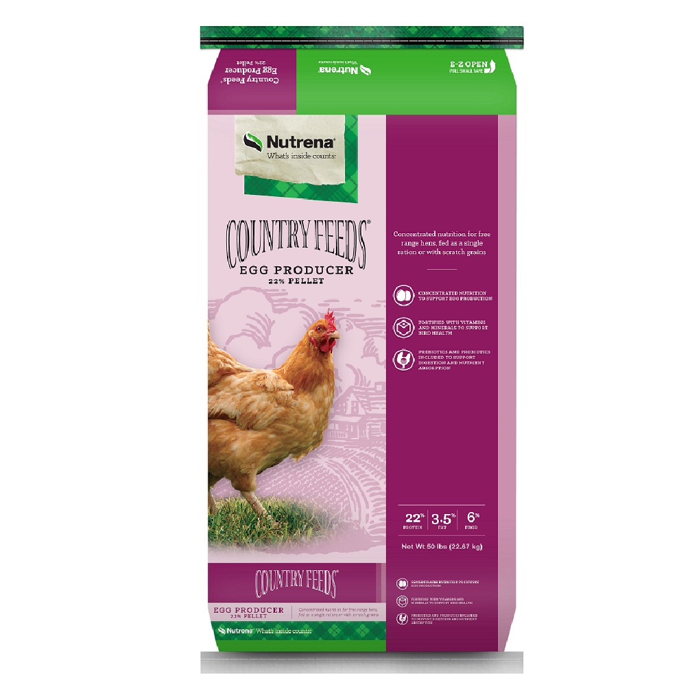 Nutrena Country Feeds® Egg Producer Poultry Feed, 50 lb. Bag | Rural King