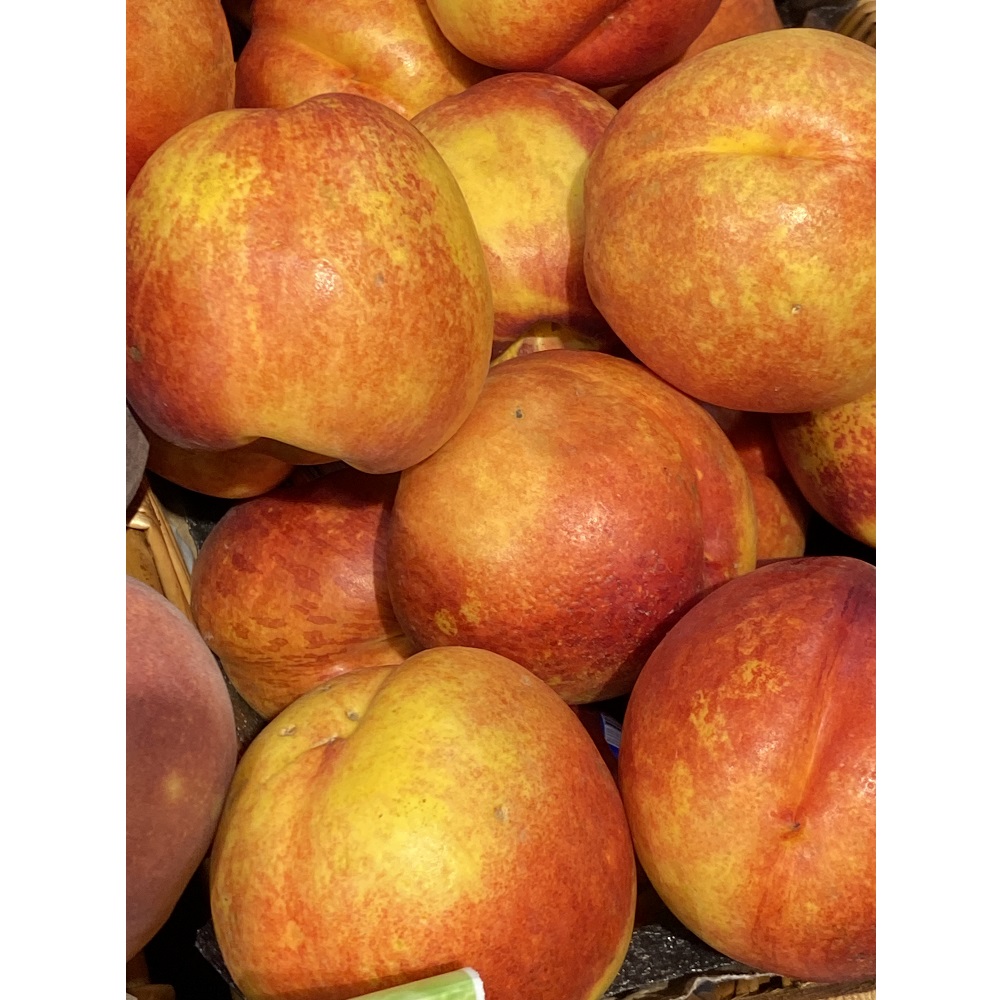 Freedom Tree Farms Rose Princess Nectarine, 5 Gallon | Rural King