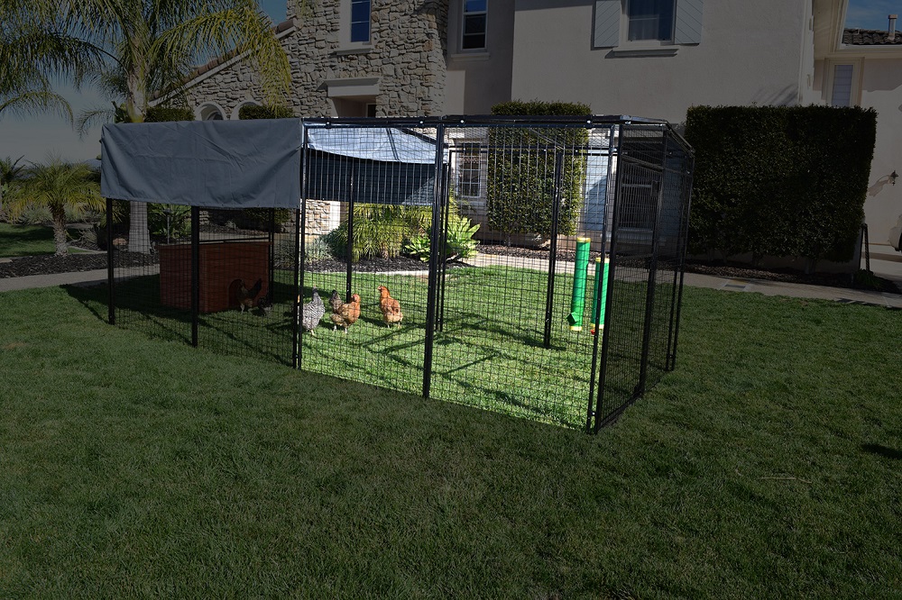 Rugged Ranch Universal Walk-In Pen Extension Kit - METALCOOPDLXEX ...