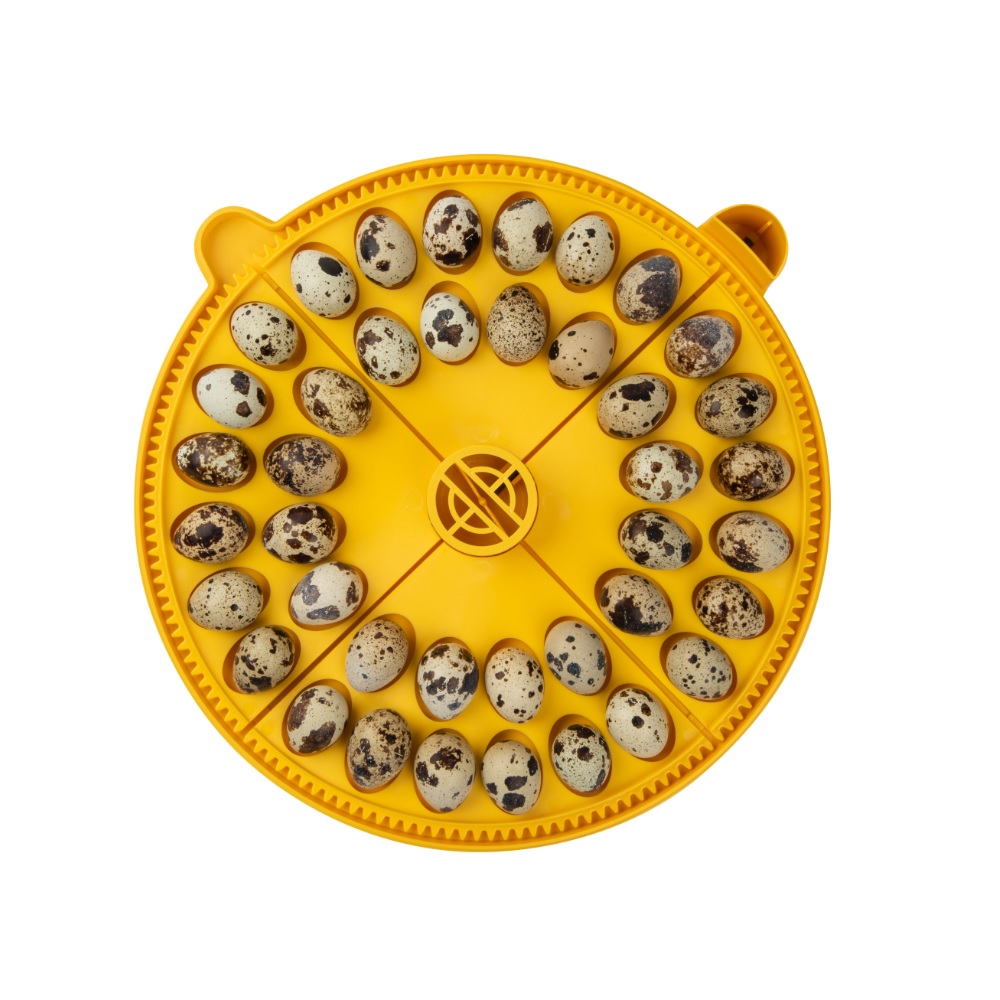 Brinsea Maxi 24 Advance Small Egg Insert - USAC10 | Rural King