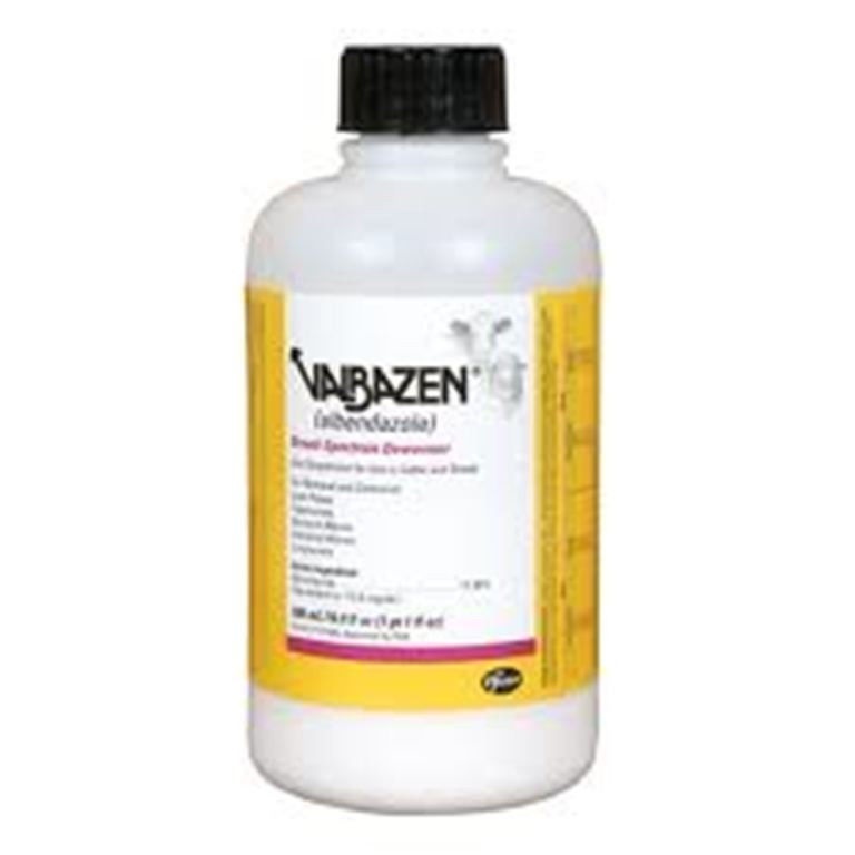 Zoetis Animal Health 500ML Valbazen Cattle Wormer - 10000341 | Rural King