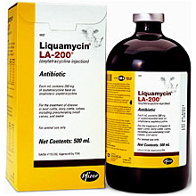 Liquamycin LA-200 Antibiotic 250 Ml | Rural King