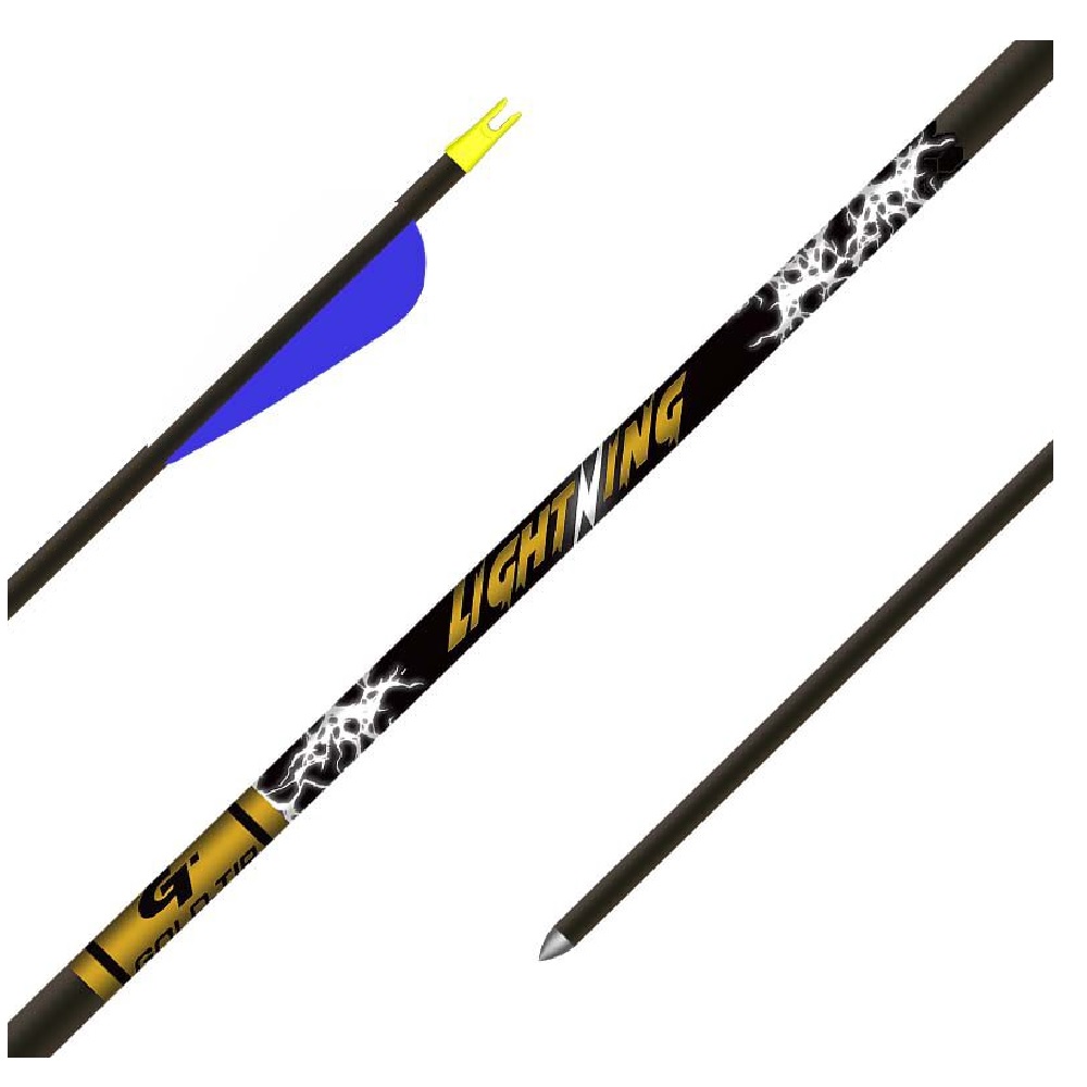 Gold Tip Lightning Point Glued In, 2.5\" Vane Tec Vanes - LIGA253 ...