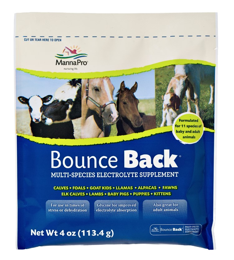 Manna Pro Bounce Back Multi-Species Electrolyte Supplement 00-9413-0249 ...