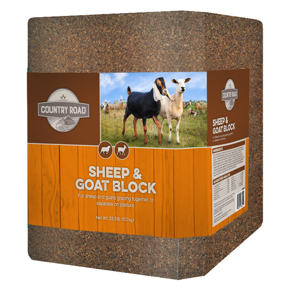 Country Road Sheep and Goat Block, 33 lb. Block | Rural King