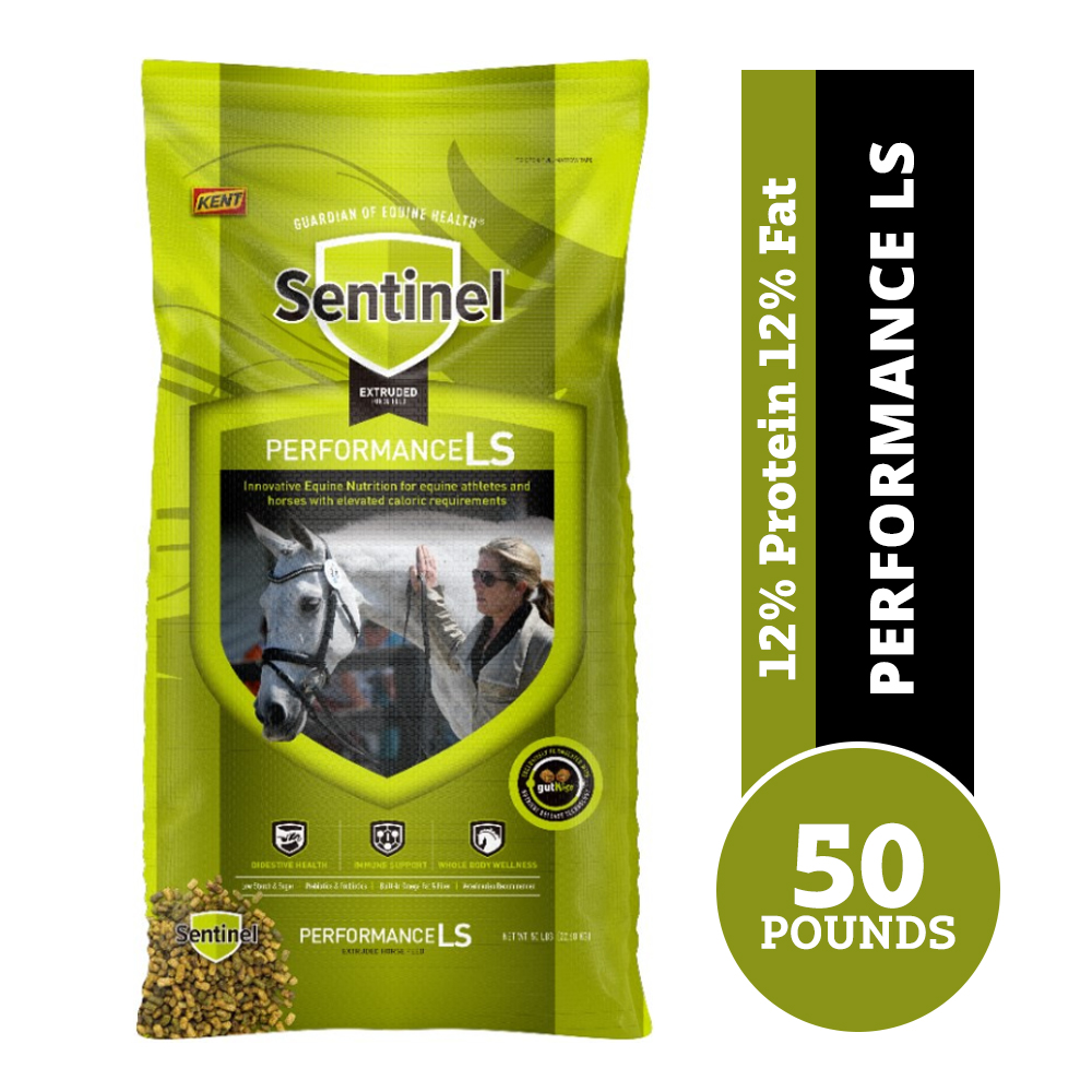 Sentinel Performance LS Extruded Horse Feed, 50 lb. Bag | Rural King