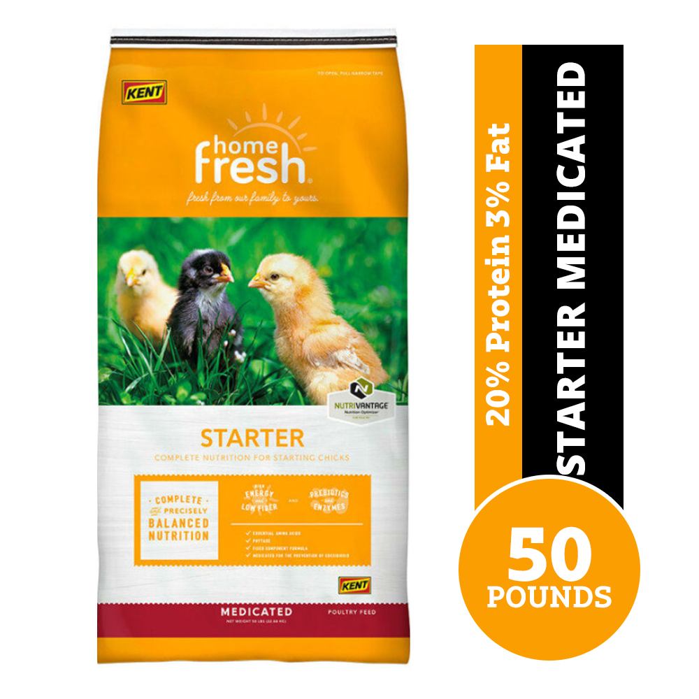Kent Starter Crumble Poultry Feed, 50 lb. Bag - 6547 | Rural King
