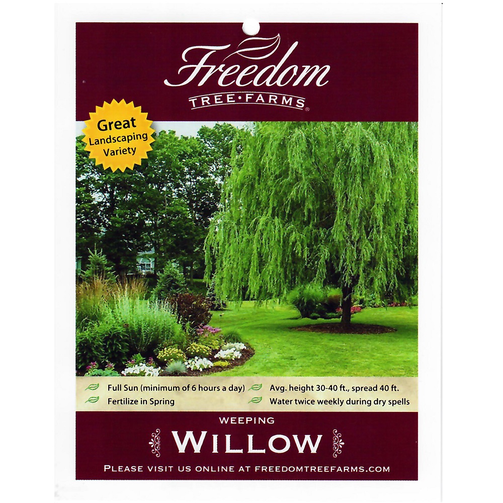 Freedom Tree Farms Weeping Willow, 5 Gallon | Rural King