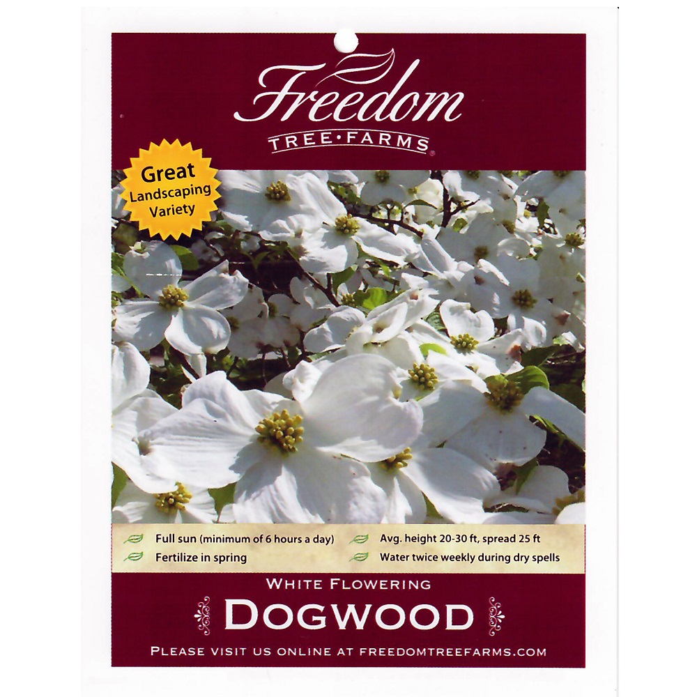 Freedom Tree Farms Celestial Shadow Dogwood, 2 Gallon | Rural King