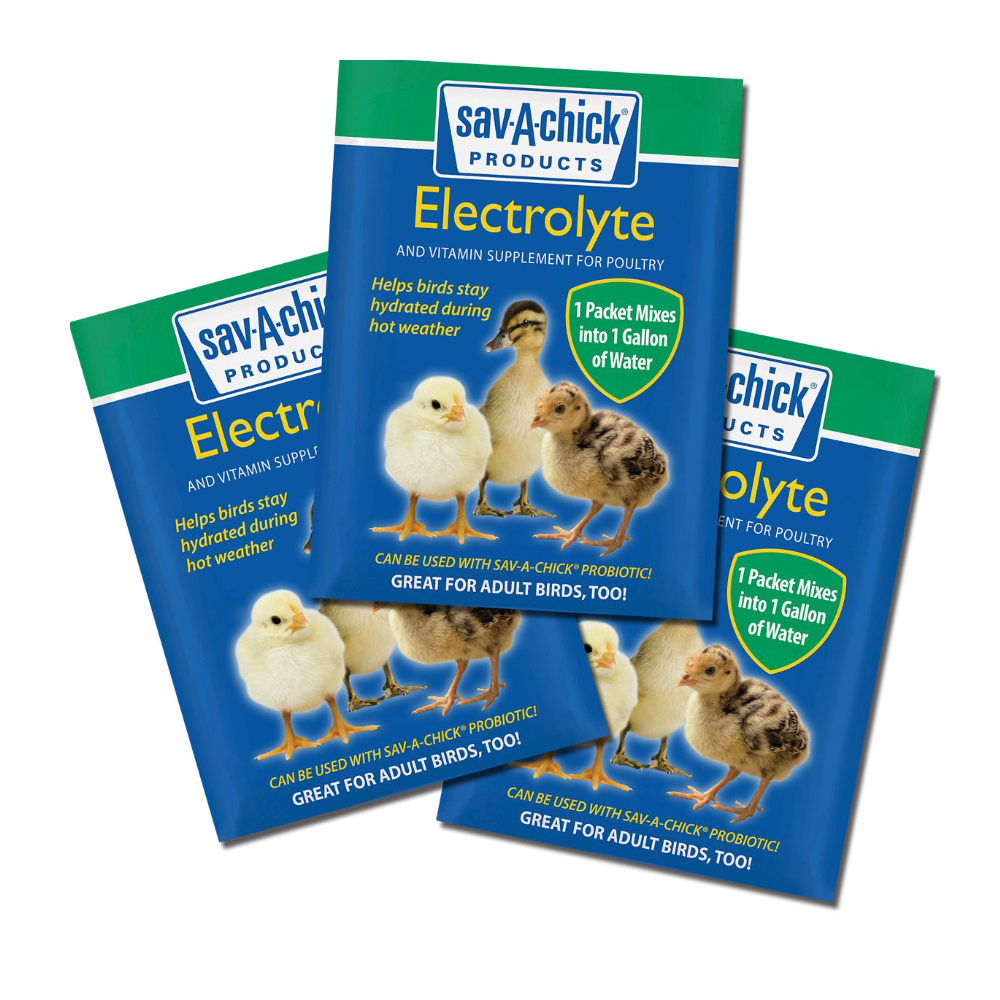 Sav-A-Chick Electrolyte & Vitamin Supplement for Poultry, 3 Count Pack ...