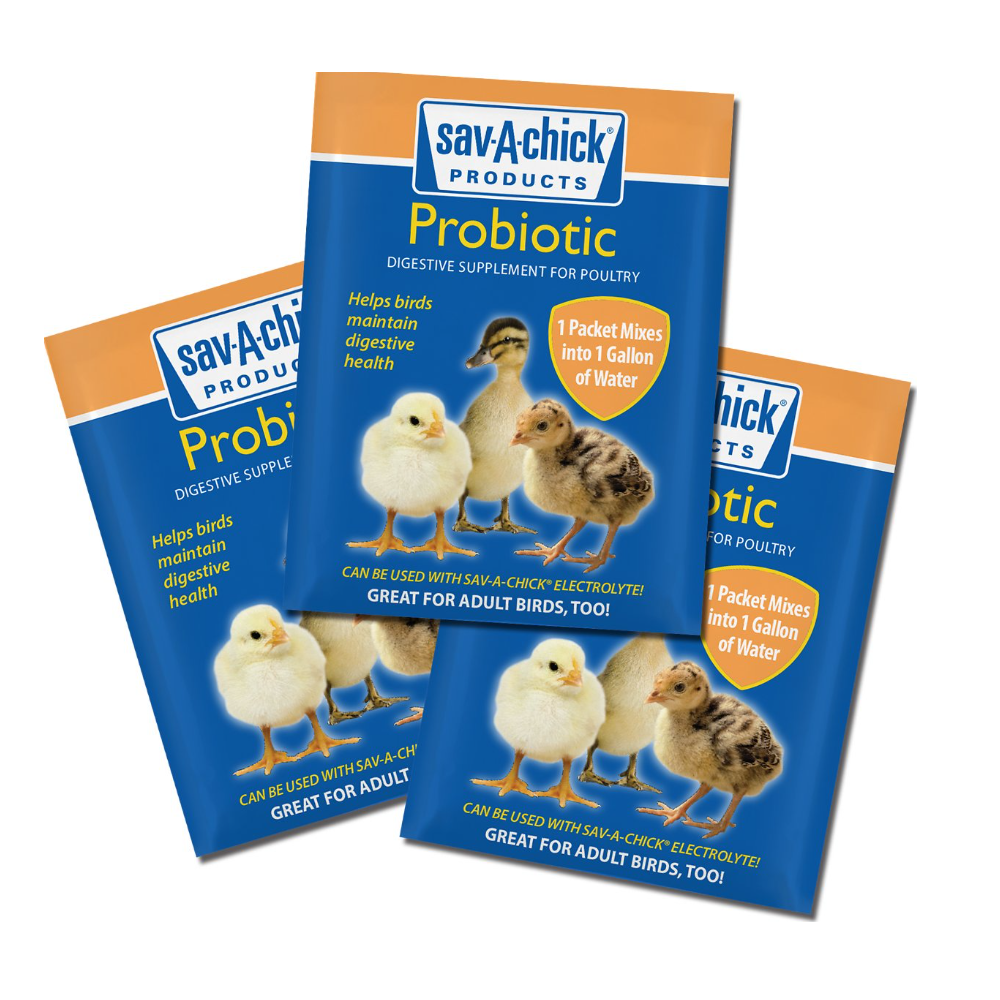 Sav-A-Chick Probiotic Digestive Support Poultry Supplement, 3 Count ...