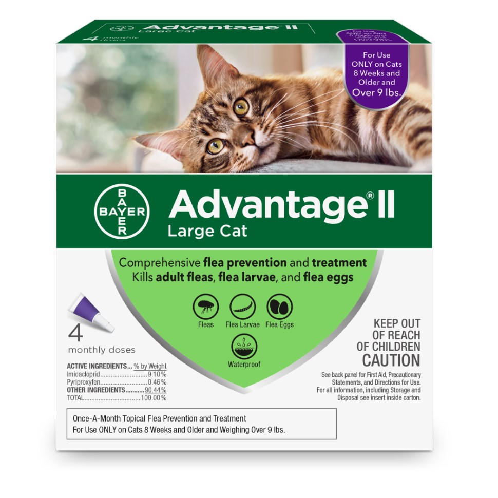 Advantage II Large Cat Flea Control, 9+ lbs. / 4 Doses | Rural King