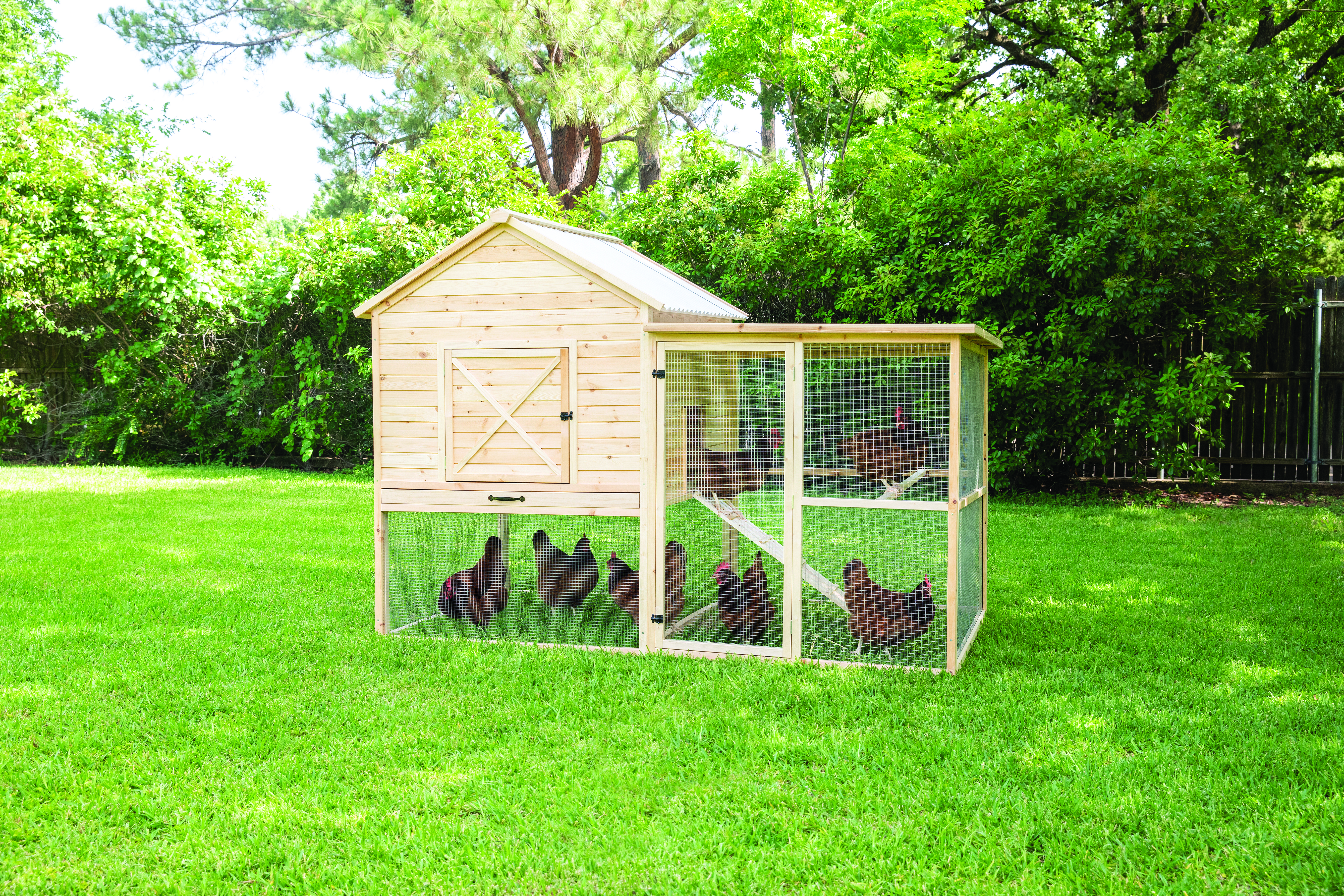 rustic chicken coop design