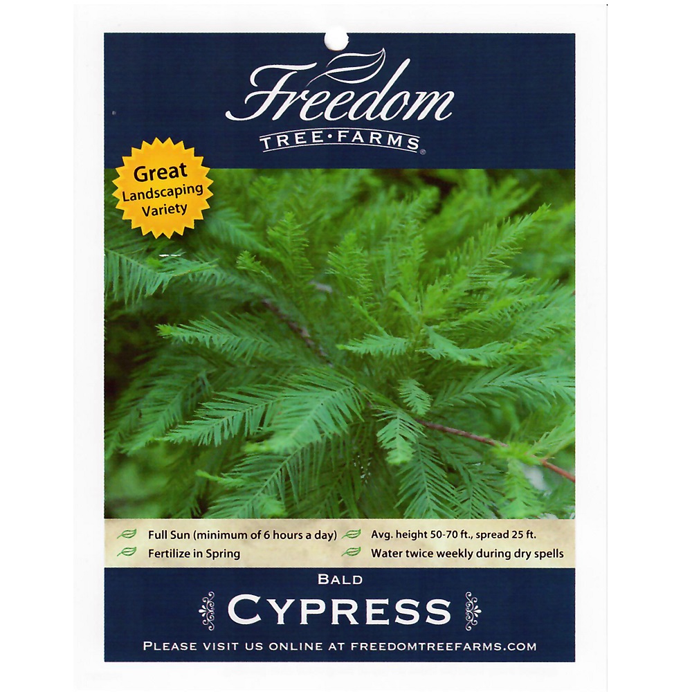 Freedom Tree Farms Bald Cypress, 7 Gallon | Rural King