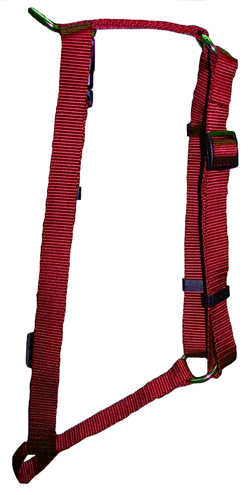 Scott Pets Adjustable Nylon Harness - 267 | Rural King