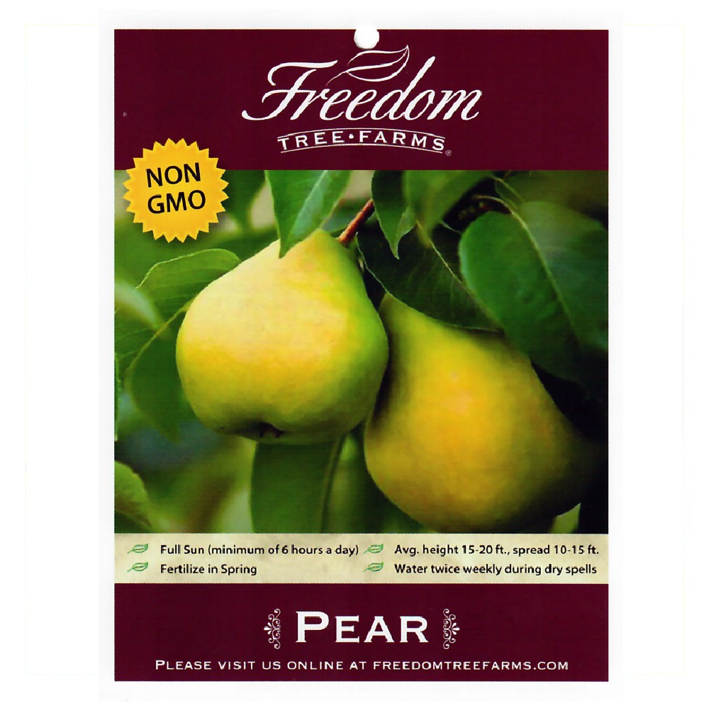 Freedom Tree Farms Olympic Asian Pear, 5 Gallon | Rural King