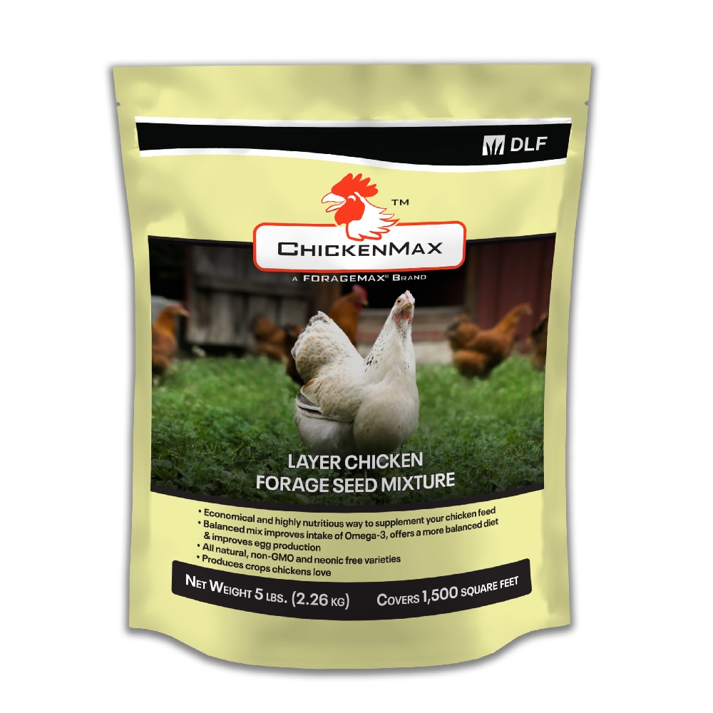 DLF ChickenMax Layer Chicken Forage, 5 lb. Bag | Rural King