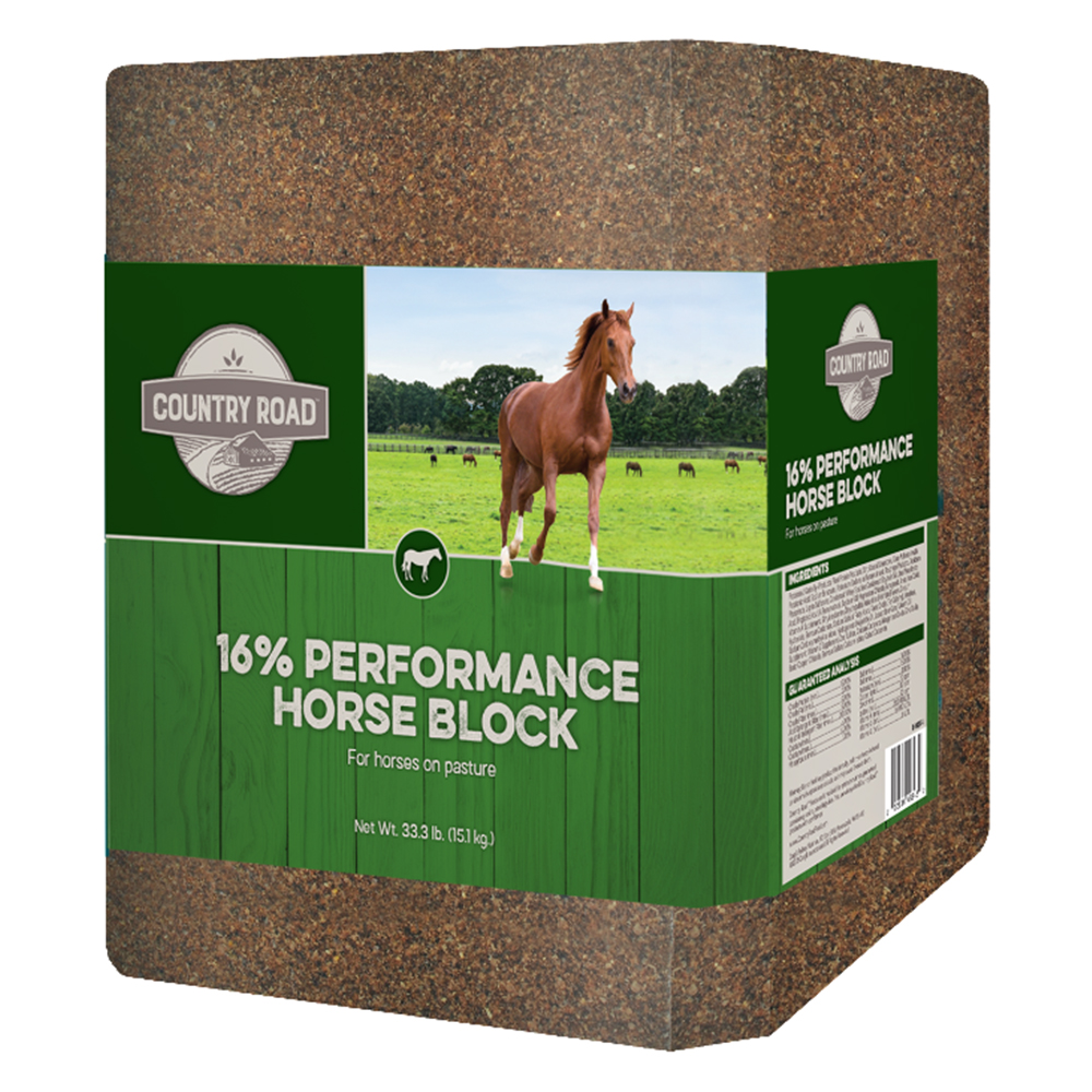 Country Road 16% Performance Horse Block, 33 lb. Block | Rural King
