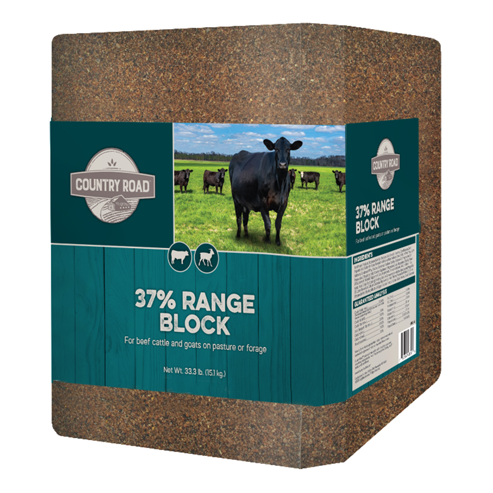 Country Road 37% Range Cattle Block, 33 lb. Block | Rural King
